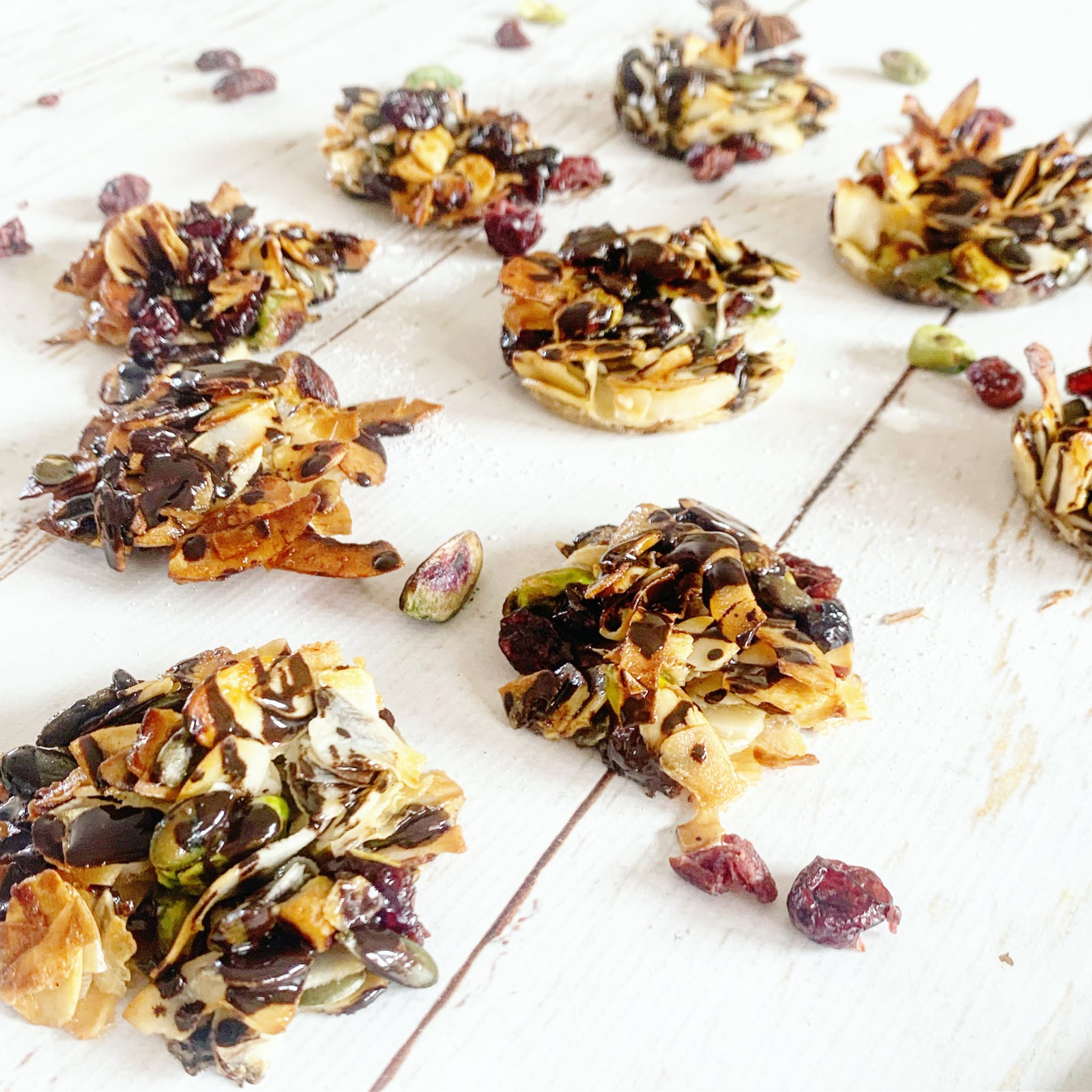 Festive Florentines [Gluten-Free, Dairy-Free] - Penny Benjamin